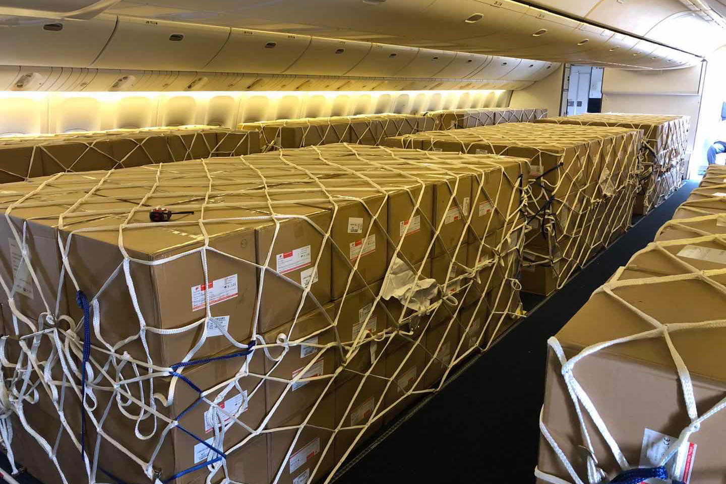 Go, Cargo, Go! Passenger jet conversions and custom cargo solutions ...