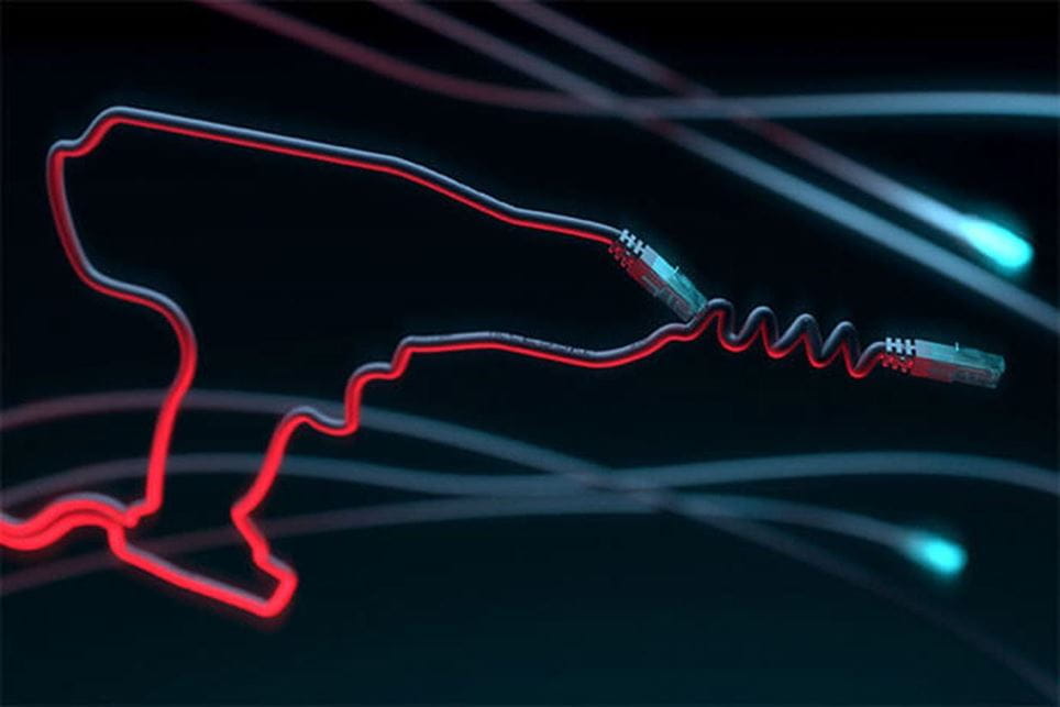 News | A field guide to hackers | Raytheon