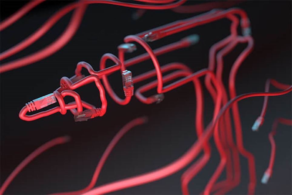 A field guide to hackers